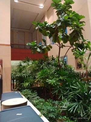 EMORY UNIVERSITY HOSPITAL MIDTOWN - Updated December 2025 - 87 Photos ...