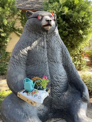 ALDEN LANE NURSERY - 333 Photos & 201 Reviews - 981 Alden Ln, Livermore ...