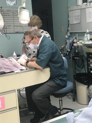 BURKE ANIMAL CLINIC - Updated October 2024 - 18 Photos & 52 Reviews ...