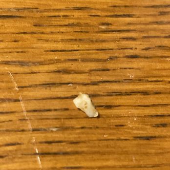 SAVVY SLIDERS - WATERFORD - Updated June 2025 - 17 Photos & 12 Reviews ...