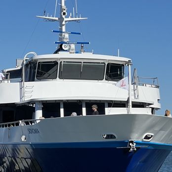 GOLDEN GATE FERRY - Updated July 2024 - 326 Photos & 266 Reviews ...