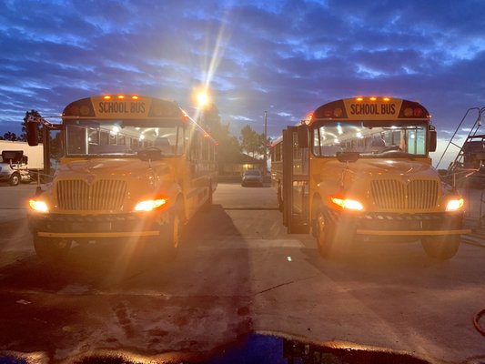 SUN STATE INTERNATIONAL TRUCKS - Updated July 2025 - 23 Photos - 6020 ...