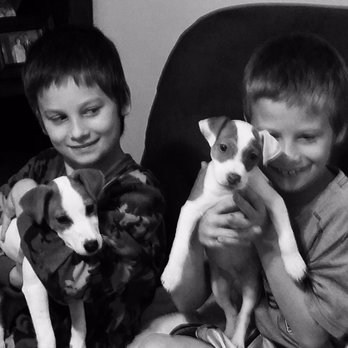 HOWDEE KENNEL - Updated December 2025 - 9310 Hammer Rd, Lynden ...