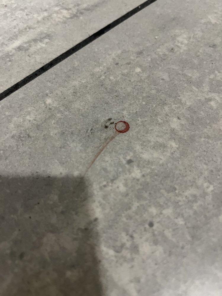 MEINERS MARKET - Updated May 2025 - 1005 NE Coronado Dr, Blue Springs ...