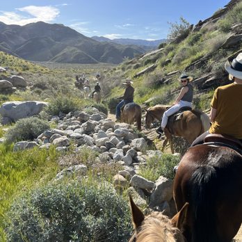 SMOKE TREE STABLES - 331 Photos & 290 Reviews - 2500 S Toledo Ave, Palm ...