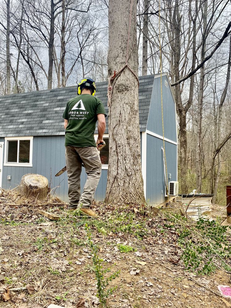 Same Day Service at Arbor West Tree Service - Updated April 2025 - 12 ...