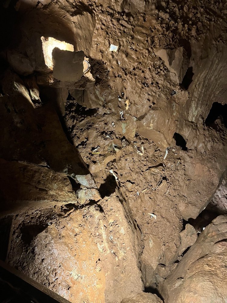 INDIANA CAVERNS - Updated June 2026 - 261 Photos & 69 Reviews - 1267 ...