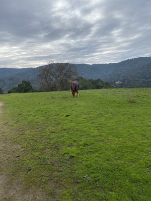 WESTWIND COMMUNITY BARN - 43 Photos & 10 Reviews - 27210 Altamont Rd ...