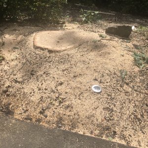 K&J TREE SERVICE - Updated August 2025 - 61 Photos & 34 Reviews - 2 ...