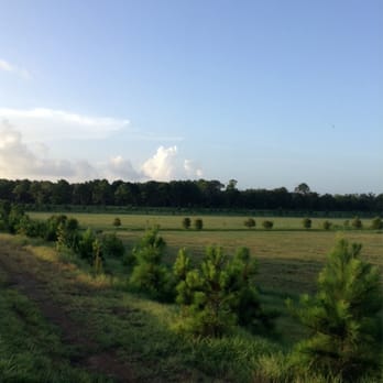 DIXIE FARM ROAD PARK - Updated December 2025 - 39 Photos - Blackhawk ...