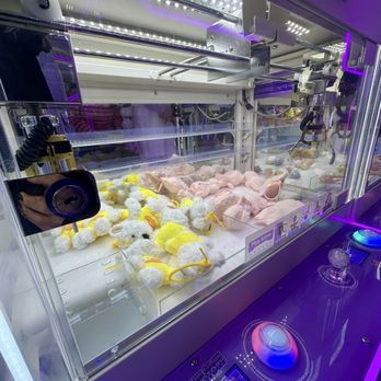 THE CLAW FACTORY - Updated January 2026 - 27 Photos & 12 Reviews - 2728 ...