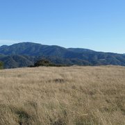 MIDPENINSULA REGIONAL OPEN SPACE DISTRICT - 40 Photos & 22 Reviews ...