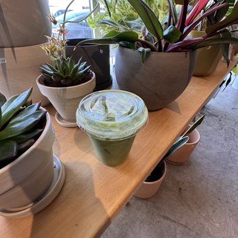 SACHI.LA - Updated January 2025 - 399 Photos & 274 Reviews - 4574 S ...