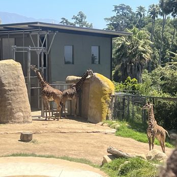 SANTA BARBARA ZOO - Updated November 2024 - 2499 Photos & 799 Reviews ...