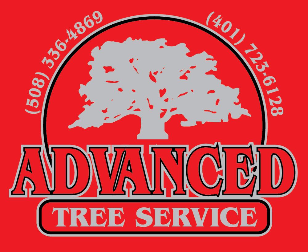 ADVANCED TREE - Updated November 2025 - 14 Photos - 400 Pine St ...