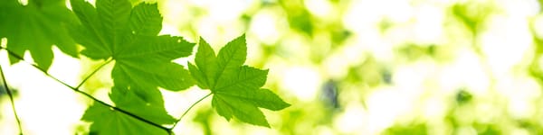 GARROW OIL & PROPANE - Updated January 2026 - 14 Photos - 504 W ...