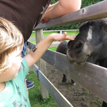 INTERMIEL - Updated December 2025 - 40 Photos - 10291 Rang la Fresnière ...