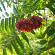 TURNING POINT PARK - 124 Photos & 30 Reviews - Parks - 260 Boxart St ...