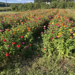 ROUGH CUT BBQ - Updated August 2025 - 33 Photos & 26 Reviews - 438 ...