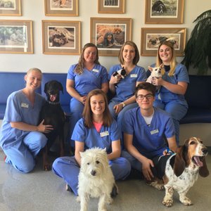 SIMPSON VETERINARY SERVICES - 116 Stephenson Mill Rd, Walton, Kentucky ...