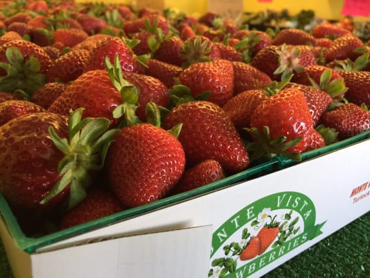 STRAWBERRY STAND - Updated December 2025 - 19 Photos & 30 Reviews ...