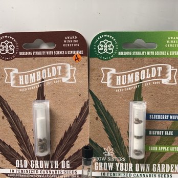 THE SEED CELLAR - Updated 2024 - 1620 E Michigan Ave, Jackson, Michigan ...