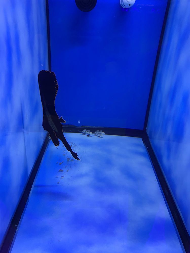 NEMO AQUARIUM - Updated March 2025 - 24 Photos & 30 Reviews - 3370 ...