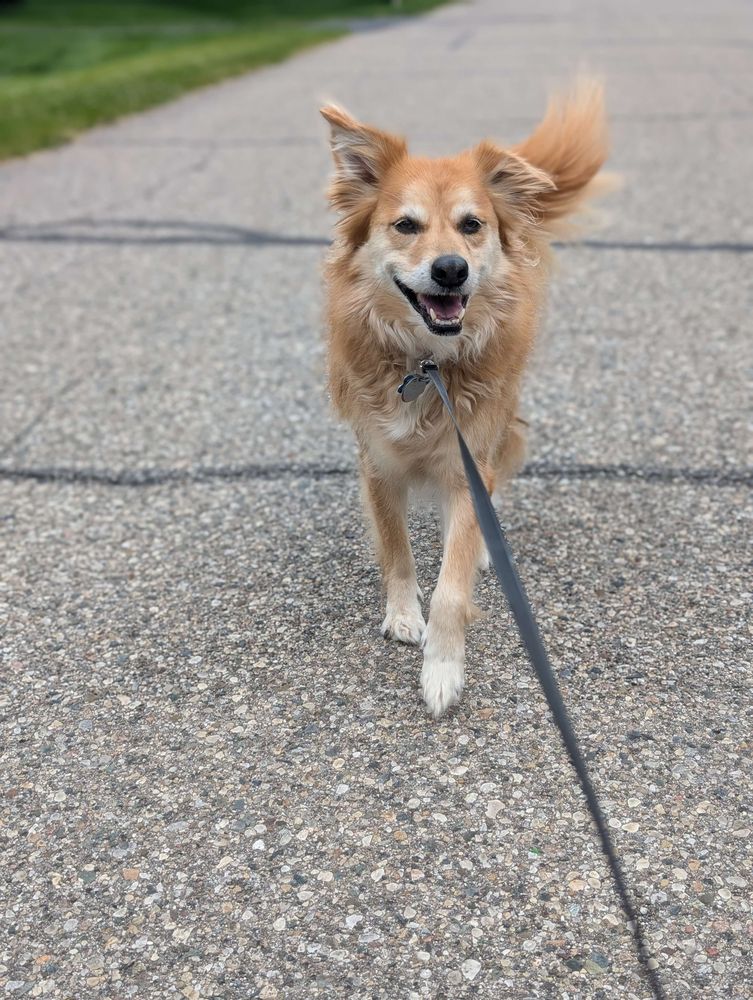 RAINBOW TAILS - Updated June 2025 - 28 Photos & 19 Reviews - 2370 E ...