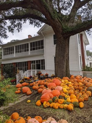 GEORGE RANCH HISTORICAL PARK - Updated September 2025 - 100 Photos & 45 ...