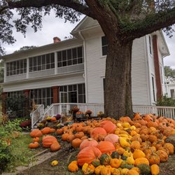 GEORGE RANCH HISTORICAL PARK - 94 Photos & 40 Reviews - 10215 Fm 762 ...