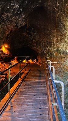 THURSTON LAVA TUBE - 177 Photos & 87 Reviews - Parks - Hawaii Volcanoes ...