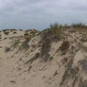 BEACH AT OXNARD SHORES | 60 Photos - 5th St & Mandalay Beach Rd, Oxnard ...