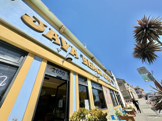 JAVA BEACH AT THE ZOO - Updated August 2025 - 408 Photos & 567 Reviews ...