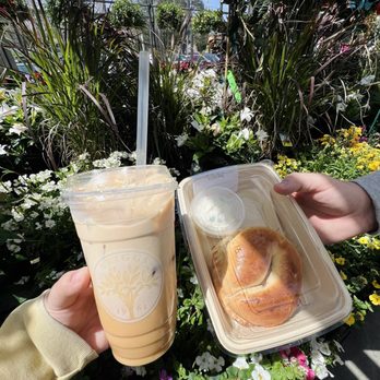 BRIGGS NURSERY - Updated December 2025 - 143 Photos & 76 Reviews - 295 ...