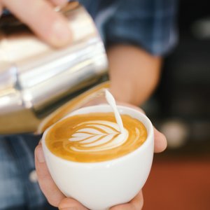 THE GREEN LIGHT CAFE - Updated August 2024 - 17 Photos & 27 Reviews ...