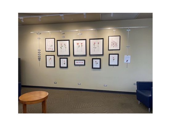 ELA AREA PUBLIC LIBRARY - Updated December 2025 - 11 Photos & 16 ...