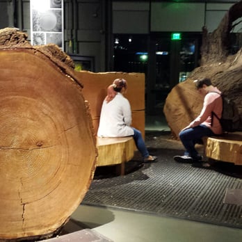 EXPLORATORIUM AFTER DARK - Updated December 2025 - 391 Photos & 206 ...