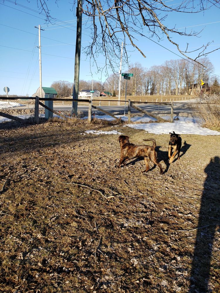 R&R RESCUE & RESORT - Updated December 2025 - 402674 Grey Road 17 ...