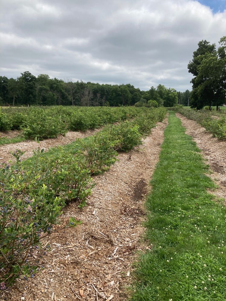 JELLI’S MARKET - Updated January 2025 - 24 Photos & 10 Reviews - N5648 ...