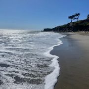 LIGHTHOUSE FIELD STATE BEACH - 490 Photos & 139 Reviews - 701 W Cliff ...