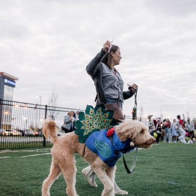 CRATE ESCAPES DOG PARK + BAR - Updated April 2026 - 118 Photos & 20 ...