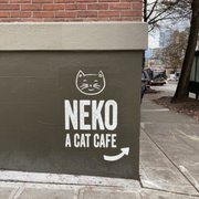NEKO: A CAT CAFE - Updated January 2026 - 1015 Photos & 344 Reviews ...