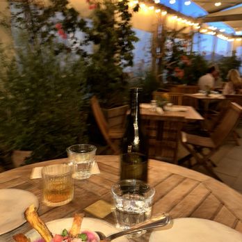 FIG TREE VENICE - Updated September 2024 - 1056 Photos & 657 Reviews ...