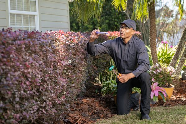 ALL FLORIDA PEST CONTROL - Updated October 2025 - 10 Photos & 16 ...