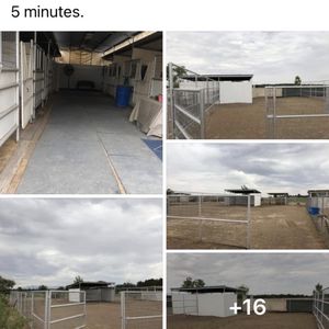 SAN FRANCISCO STABLES - Updated June 2025 - 18 Photos - 1114 Casad Rd ...