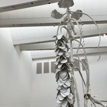 THE BLANTON MUSEUM OF ART - Updated May 2026 - 1283 Photos & 283 ...