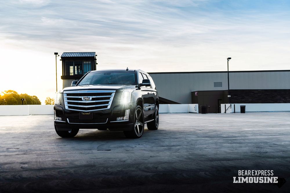 BEAR EXPRESS LIMOUSINE - Updated December 2025 - 25 Photos ...