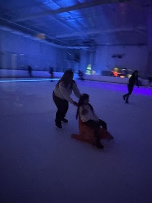 THE RINKS - LAKEWOOD ICE - Updated December 2025 - 95 Photos & 125 ...