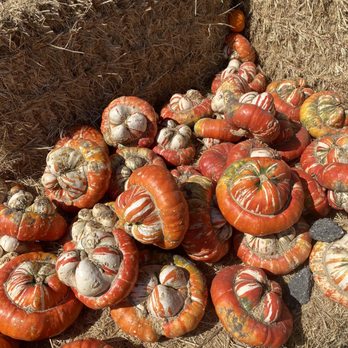 RODONI FARMS - Updated January 2026 - 151 Photos & 34 Reviews - 4444 ...