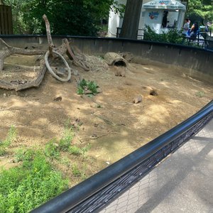 SMITHSONIAN NATIONAL ZOOLOGICAL PARK - 3671 Photos & 1172 Reviews ...